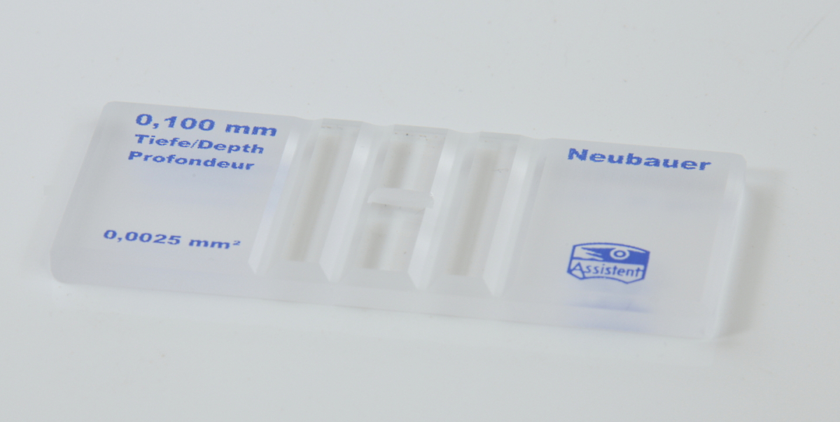 Zählkammer nach Neubauer improved mit doppelter Netzteilung . Typ ...